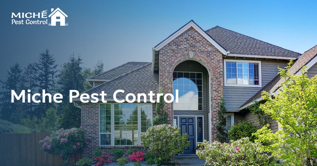Stafford County VA Pest Control Services | Miche Pest Control